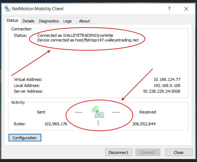 NetMotion VPN Troubleshoot – Walleye
